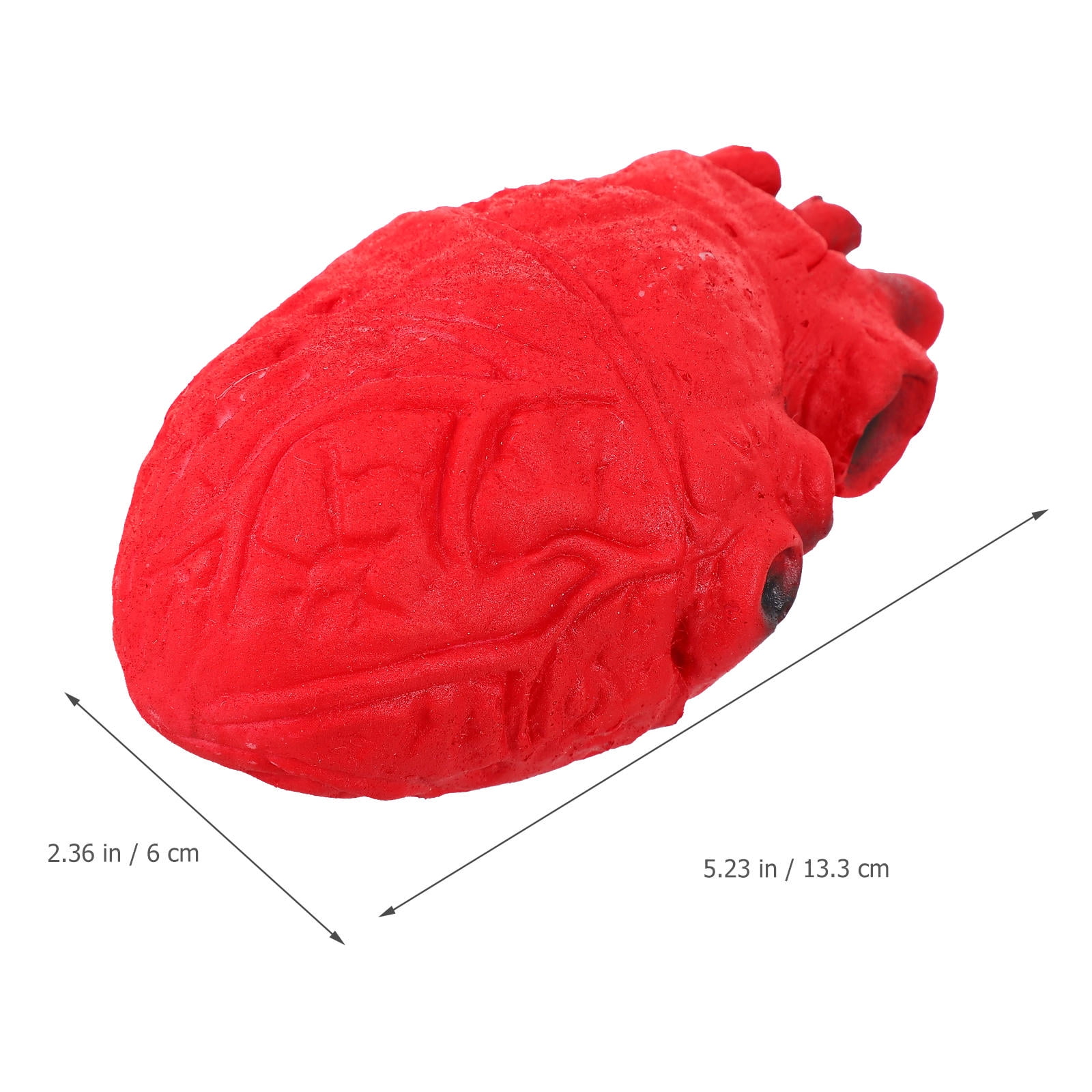 Raindrops Enthusiasts Heart Food Box Body Organ Prop 13.4X4.2X2.3in Red ...