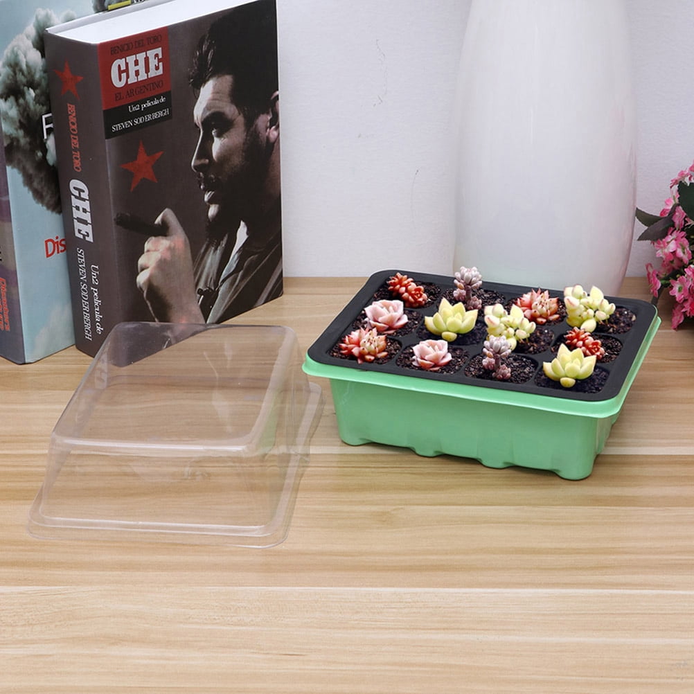 Raindrops Green Plastic sprouter with Transparent Lid for Planting ...