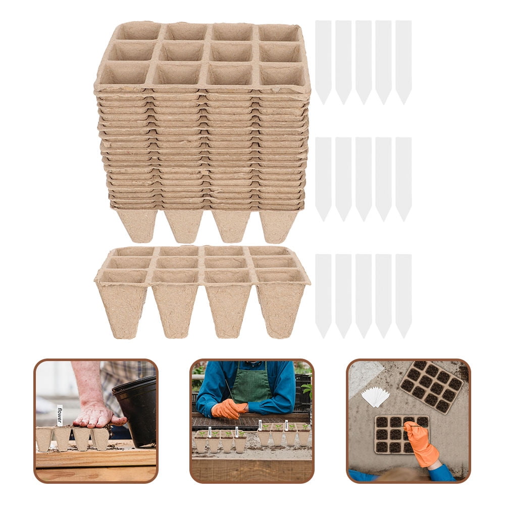 Raindrops Growing Seedling Start Tray Lavender Planting Cups Flower ...