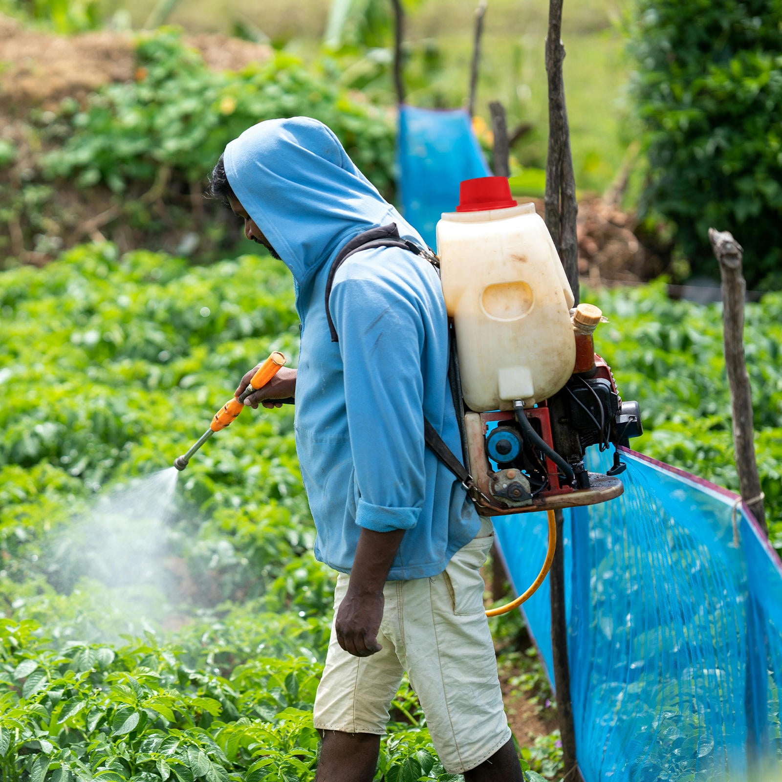 Raindrops HOMEMAXS Agriculture Tool Filter Basket for Backpack Sprayer ...