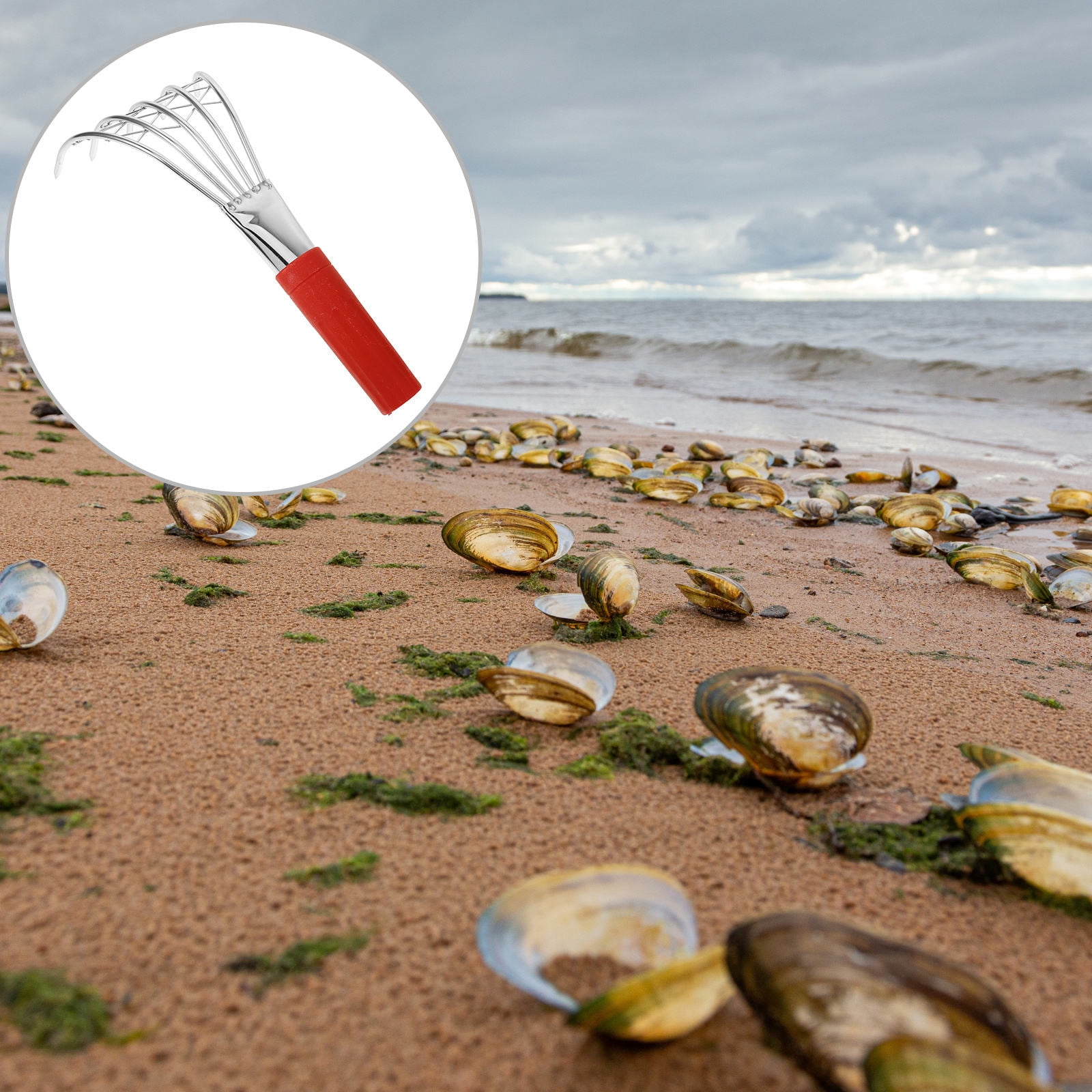 Raindrops Handheld Rake Cultivator Beach Clamming Rake Reusable Beach ...