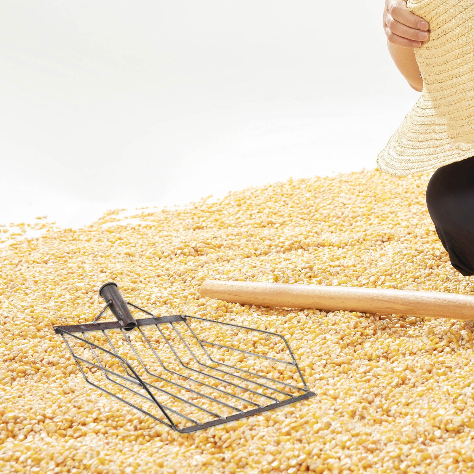 Raindrops Heavy Duty Corn Shovel For Harvesting Maize Ears Ideal Farm ...