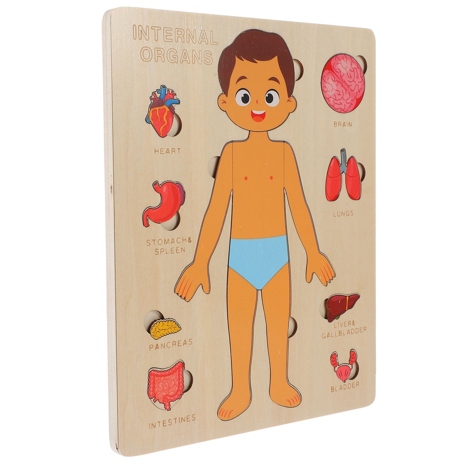 Raindrops Human Body Structure Puzzle Toys Affordable Educational Boys ...