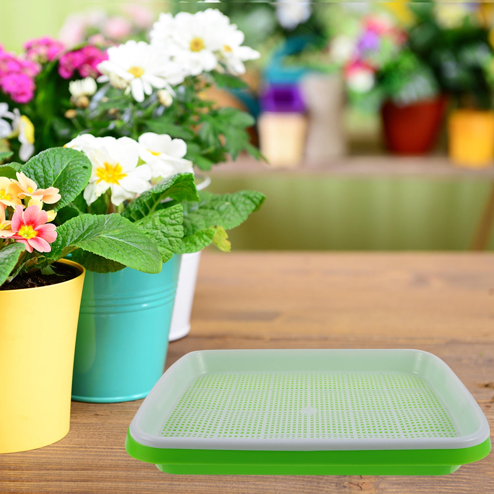 Raindrops Hydroponic Nursery Tray Planting Germination Containers White ...