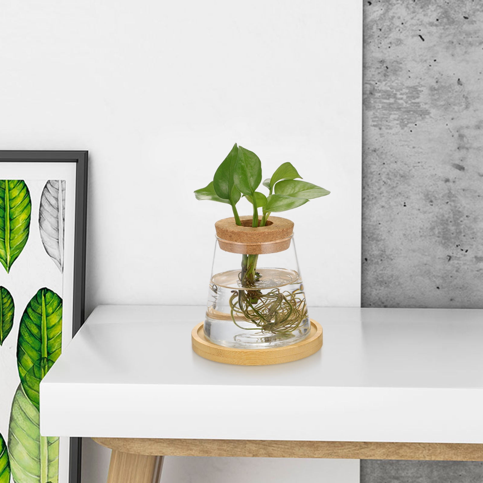 Raindrops Hydroponic Vase Glass Propagation Vase Hydroponic Plant Vase ...