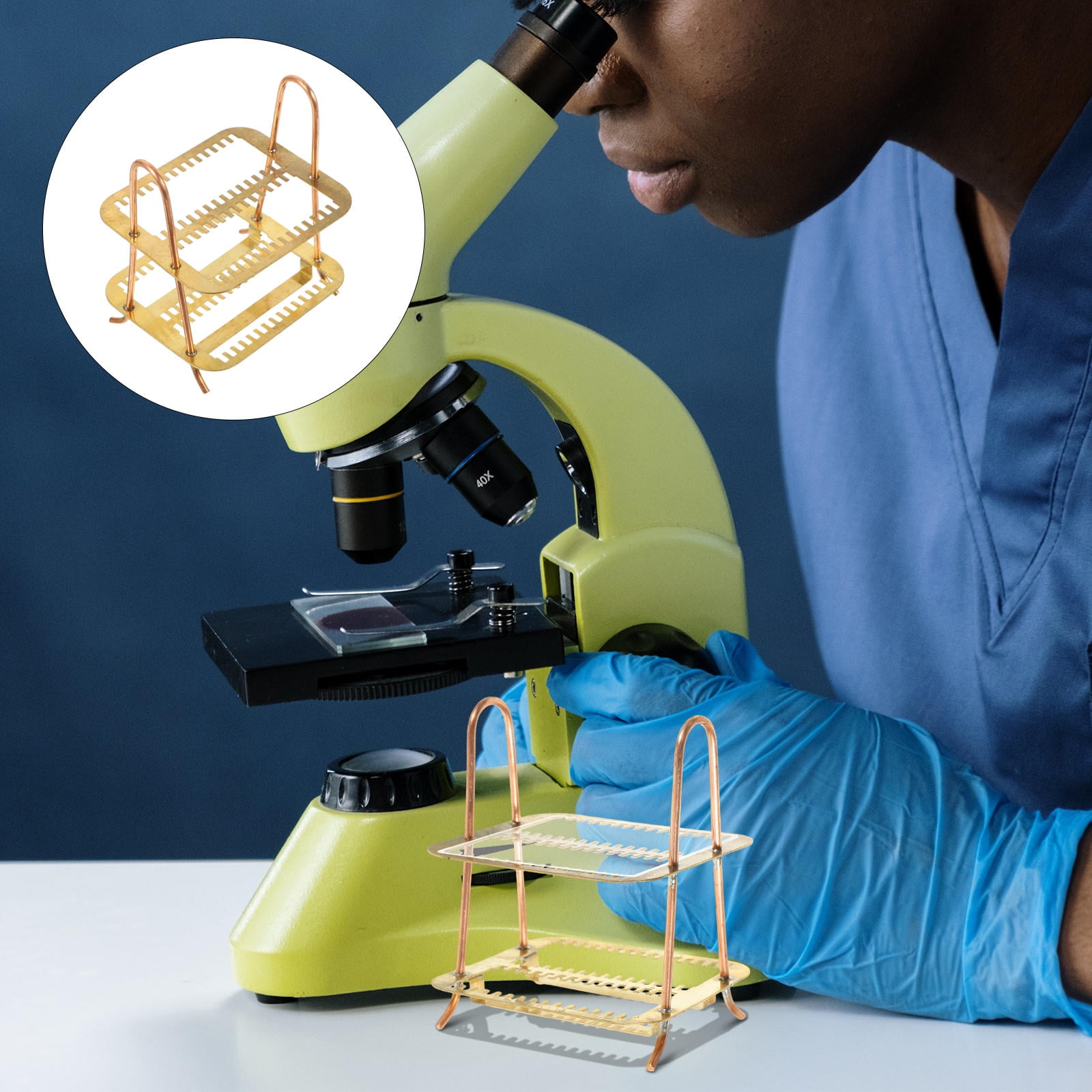 Raindrops Laboratory Microscope Slides Rack Drain Stand Storage Cabinet ...