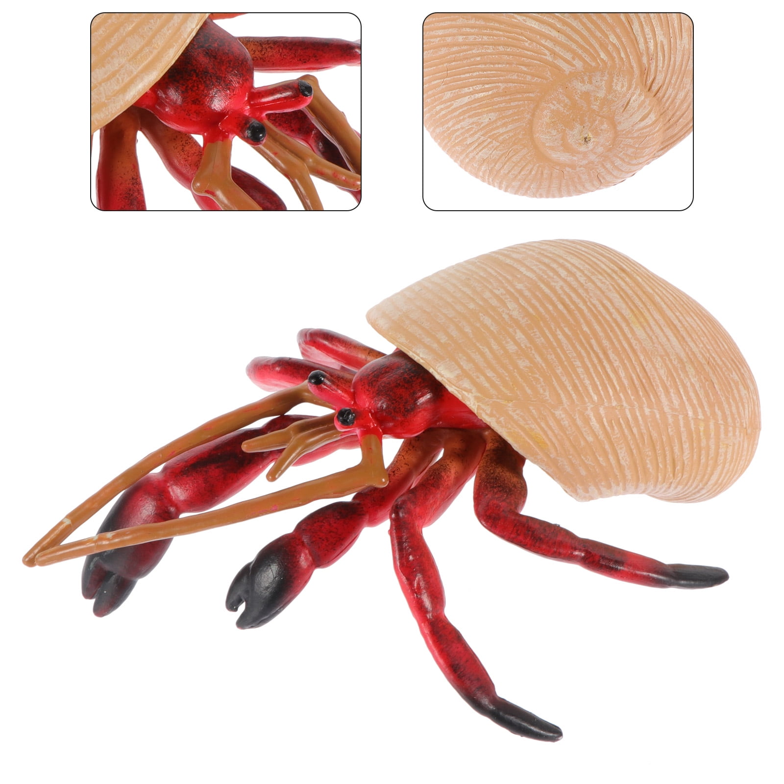 Raindrops Marine Life Model Decorative Hermit Crab Models Vivid Child ...