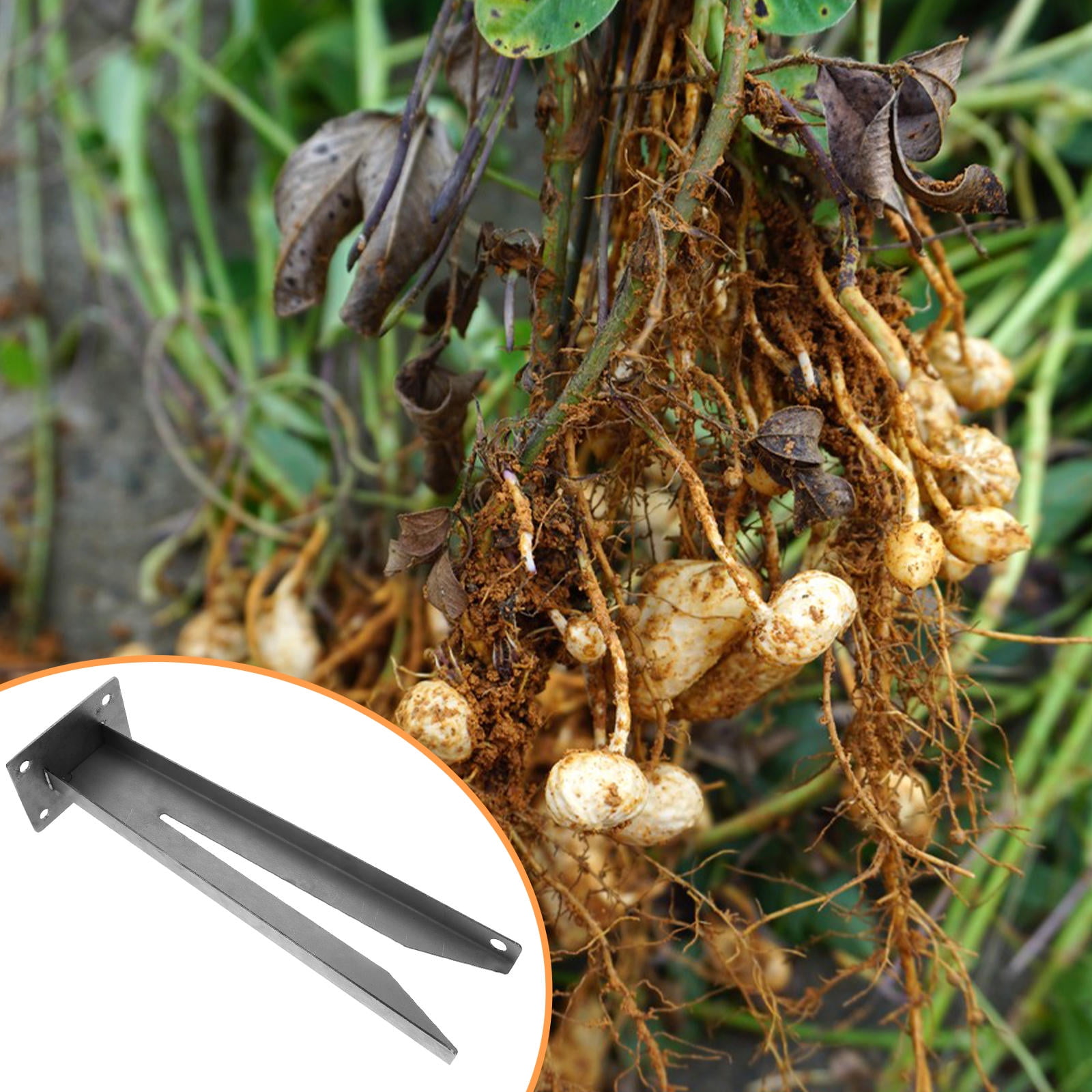 Raindrops Metal Peanut Picker Manual Tool Floor Peanut Picker Tool ...