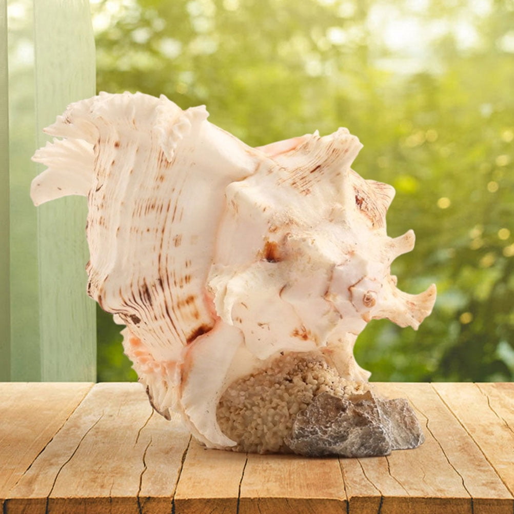 Raindrops Beach Themed Decor Conch Decoration Resin 1Pack - Walmart.com