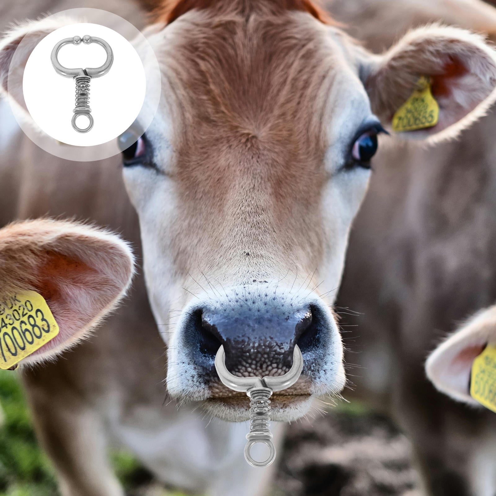 Raindrops No-Piercing Cow Nose Ring With Spring Stainless Steel Calf ...