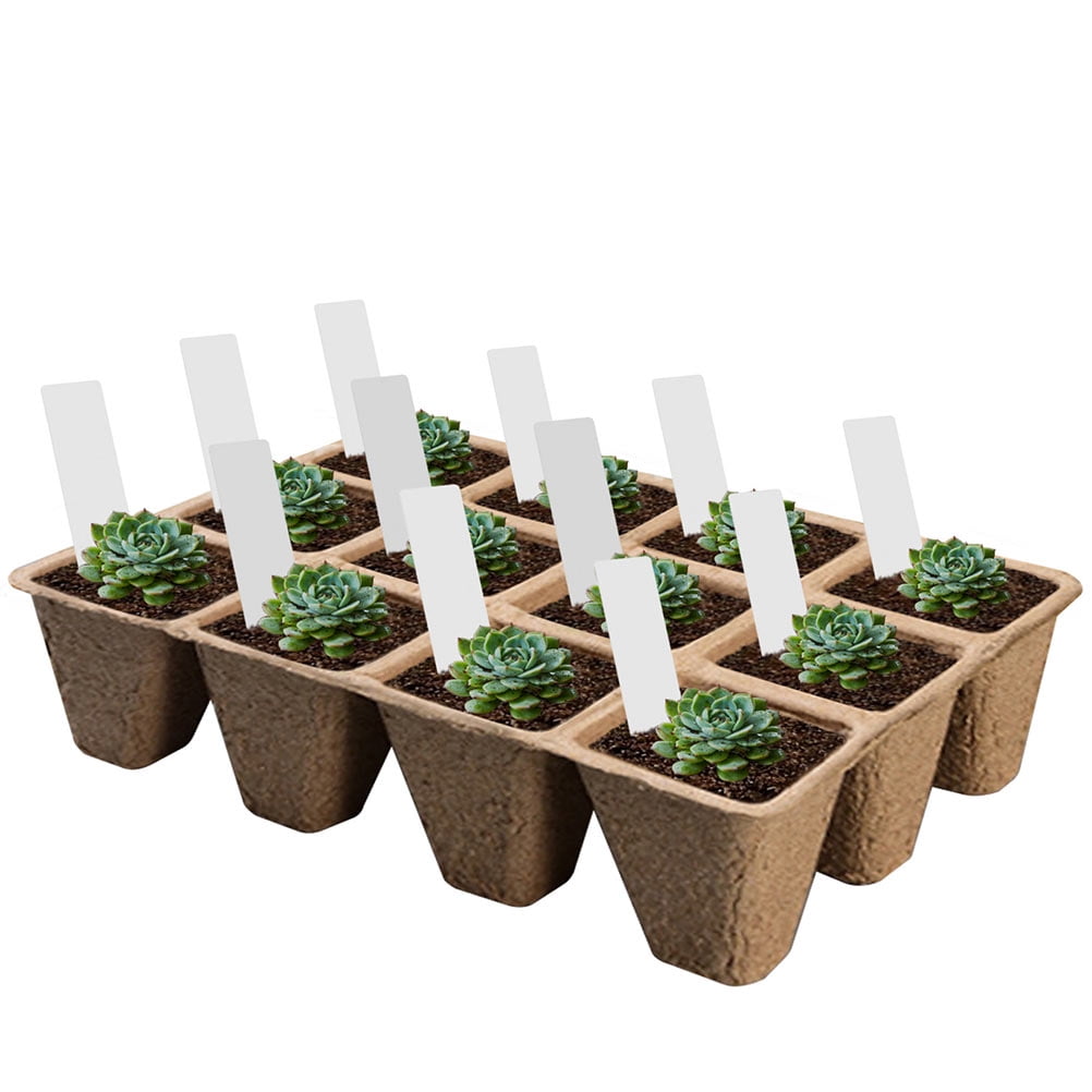 Raindrops Nursery Cup Set Plant Germination Tool Seedling Cultivation ...