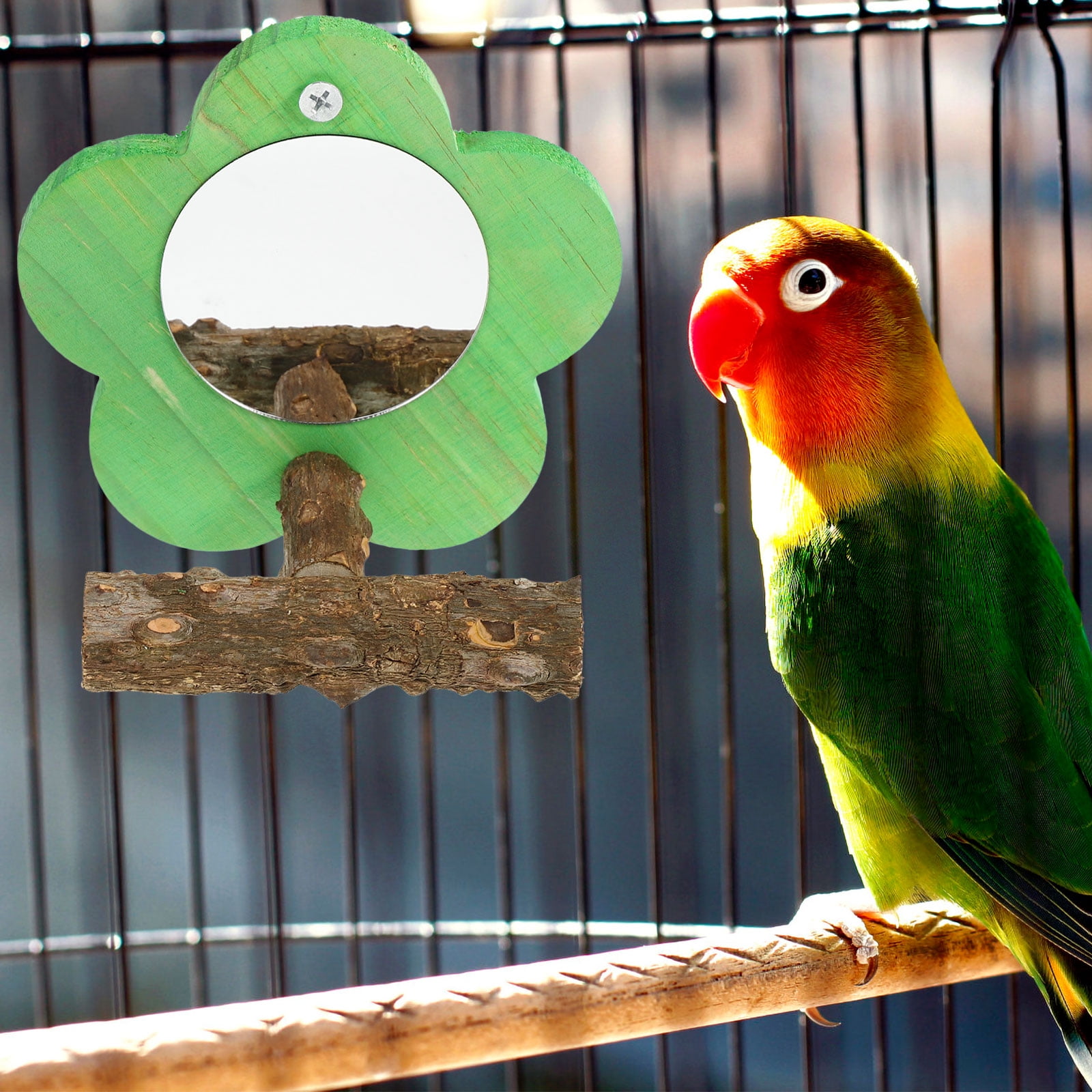 Raindrops Parakeet Mirror for Cage Large Parrot Bird Plaything ...