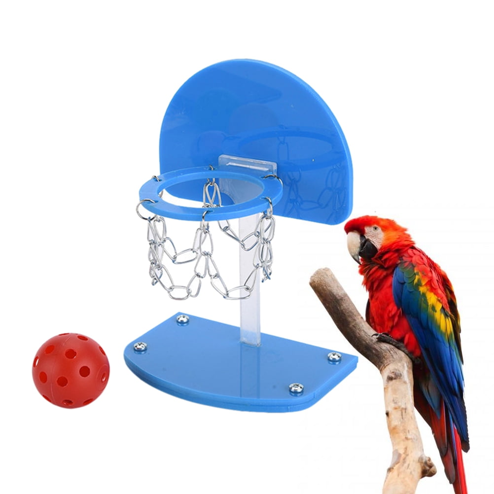 Raindrops Parrot Basketball Hoops Blue Plastic Mini Basketball Pet ...