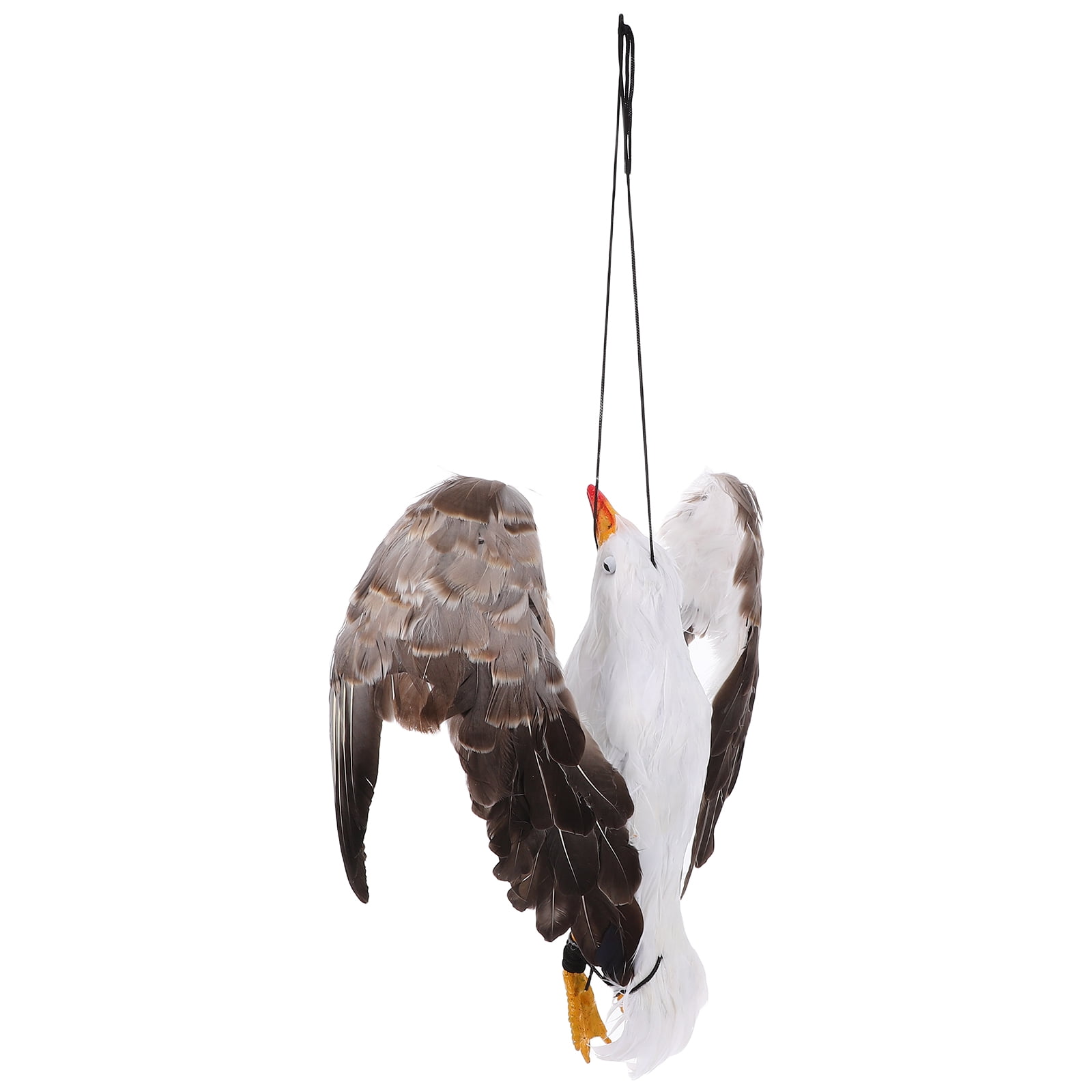 Raindrops Parrot Wall Sculpture Simulated Dead Seagull Bird Decoration ...
