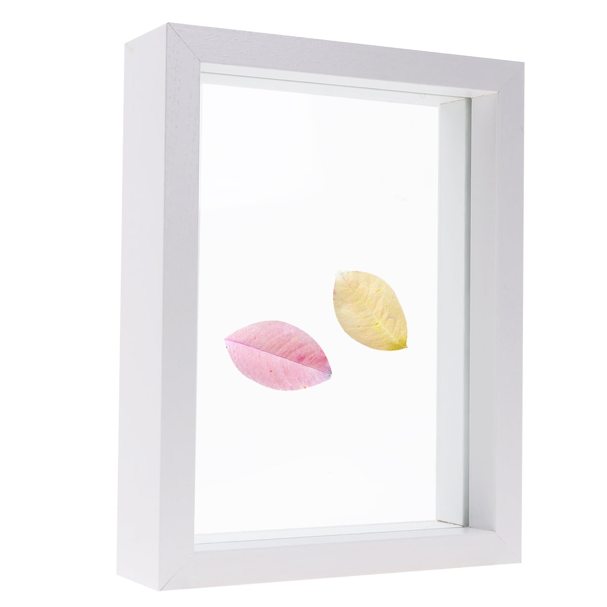 Raindrops Pink Double Sided Glass Frame Picture Plant Specimen Box 18 ...