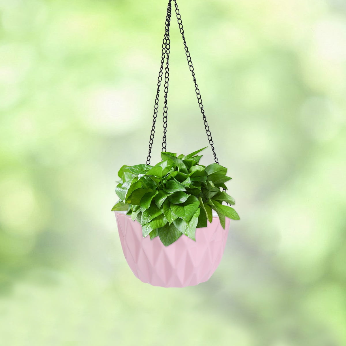 Raindrops Pink Hanging Plastic Flower Pot for Planting Use with Water ...