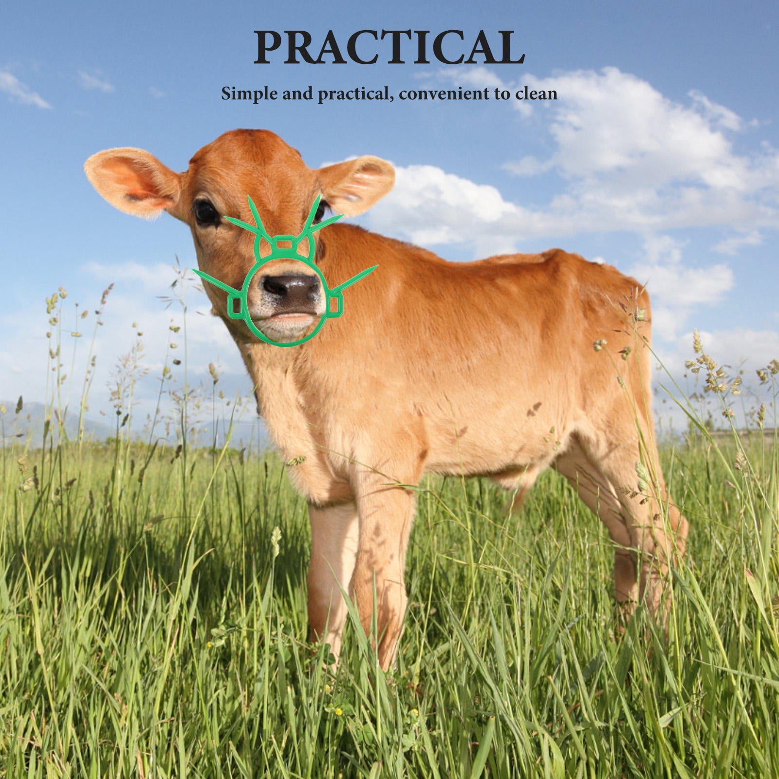 Raindrops Green Plastic Calf Weaner Tool for Livestock Farm Smooth ...