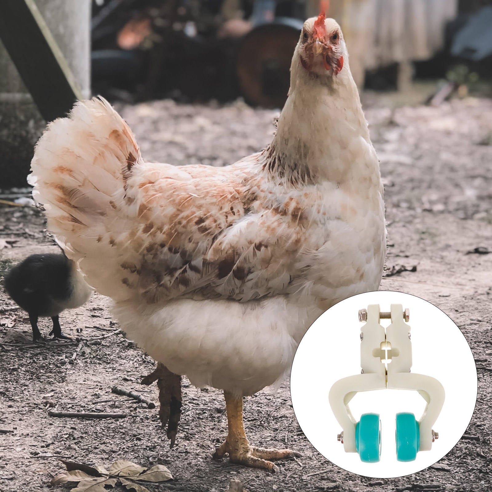 Raindrops Poultry Processing Pulley Wheel Slaughterhouse Supplies ...