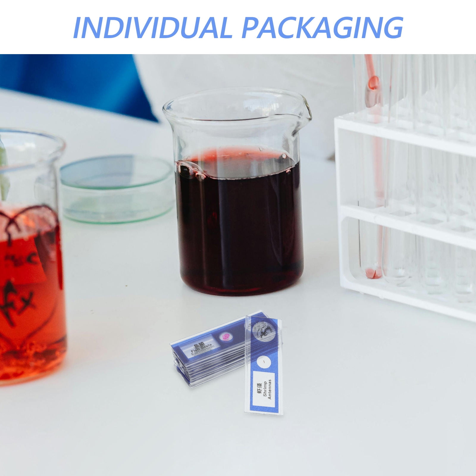 Raindrops Prepared Biology Microscope Slides with Clear Visibility for ...