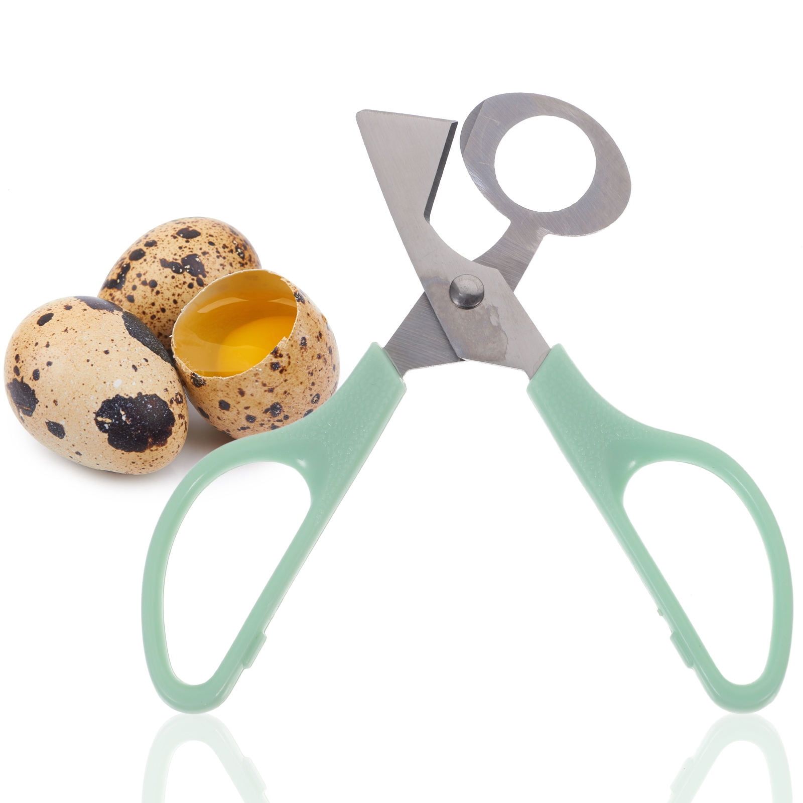 Raindrops Quail Egg Cutter Scissors Birds Egg Opener Stainless Steel ...