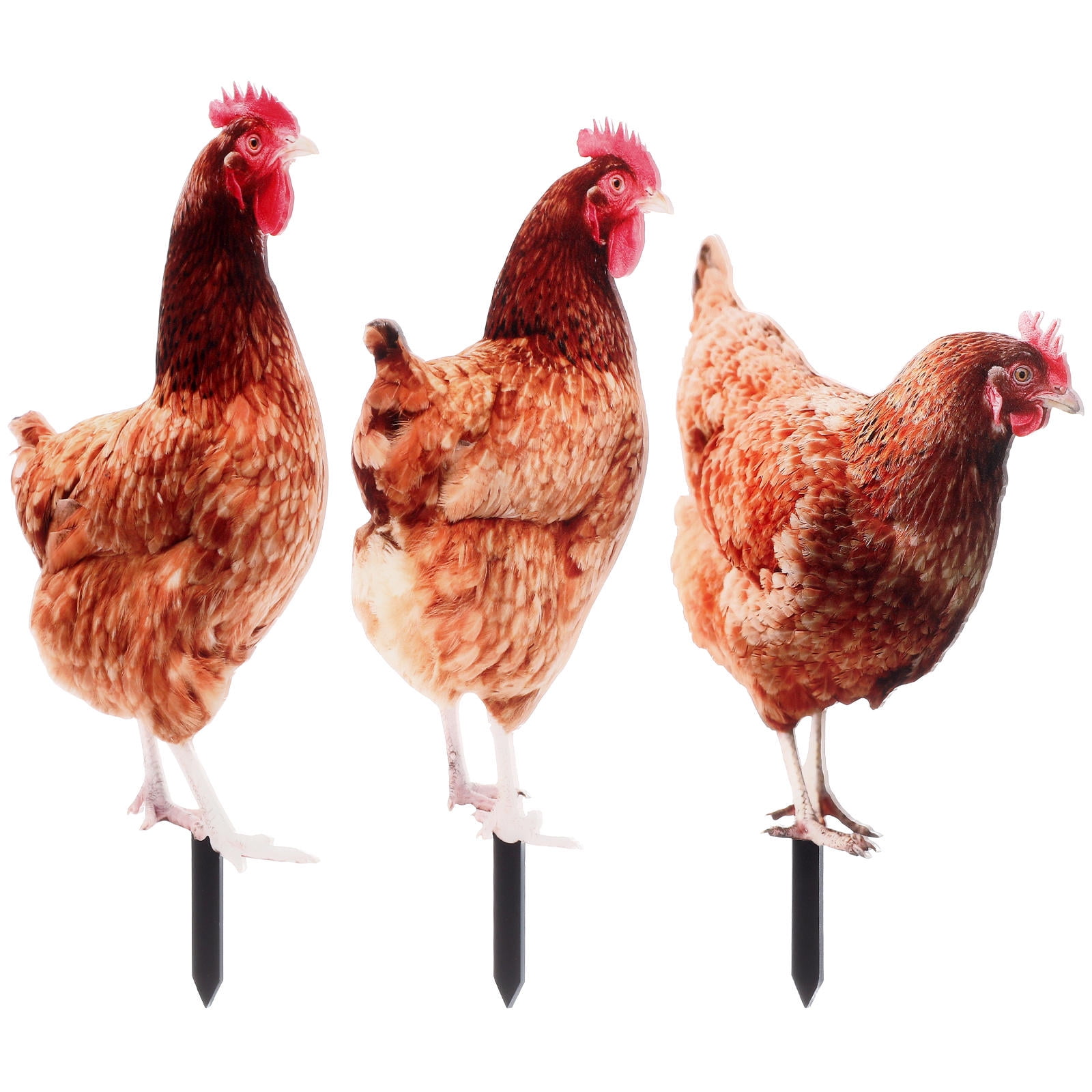 Raindrops Realistic Garden Hen Stake with Acrylic Material for Decor ...