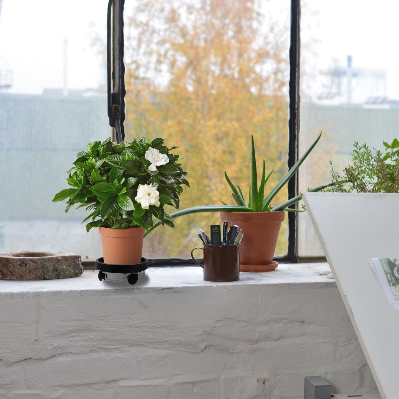 Raindrops Round Tray Wheeled Planter Stand for Vases with Wheels ...