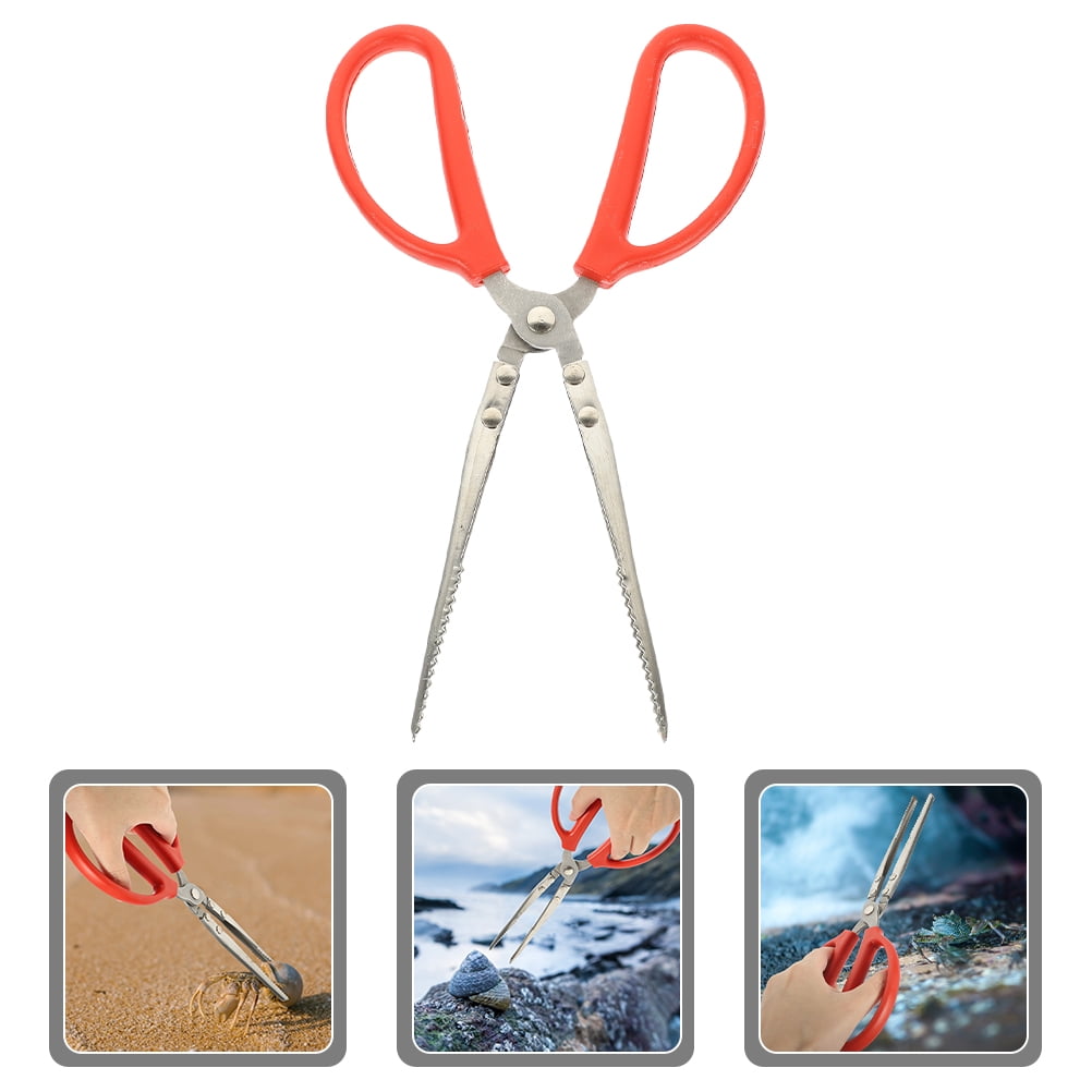 Raindrops Sea Crab Tong Metal Loach Tong Fish Grabber Tong Outdoor Crab ...