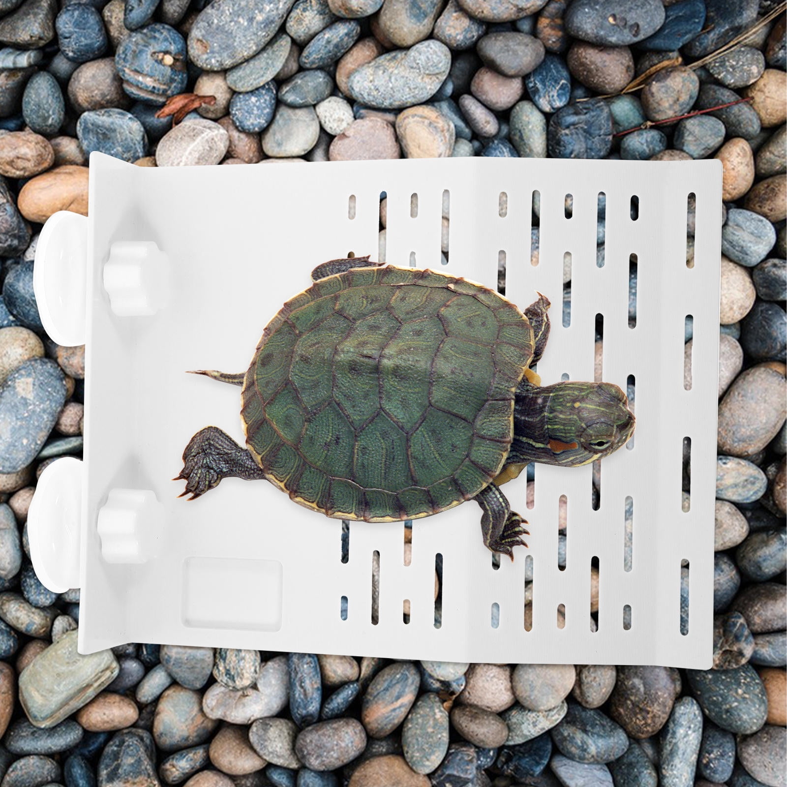 Raindrops Sea Turtle Tank Plastic Turtle Climbing Slope 20X24CM White ...