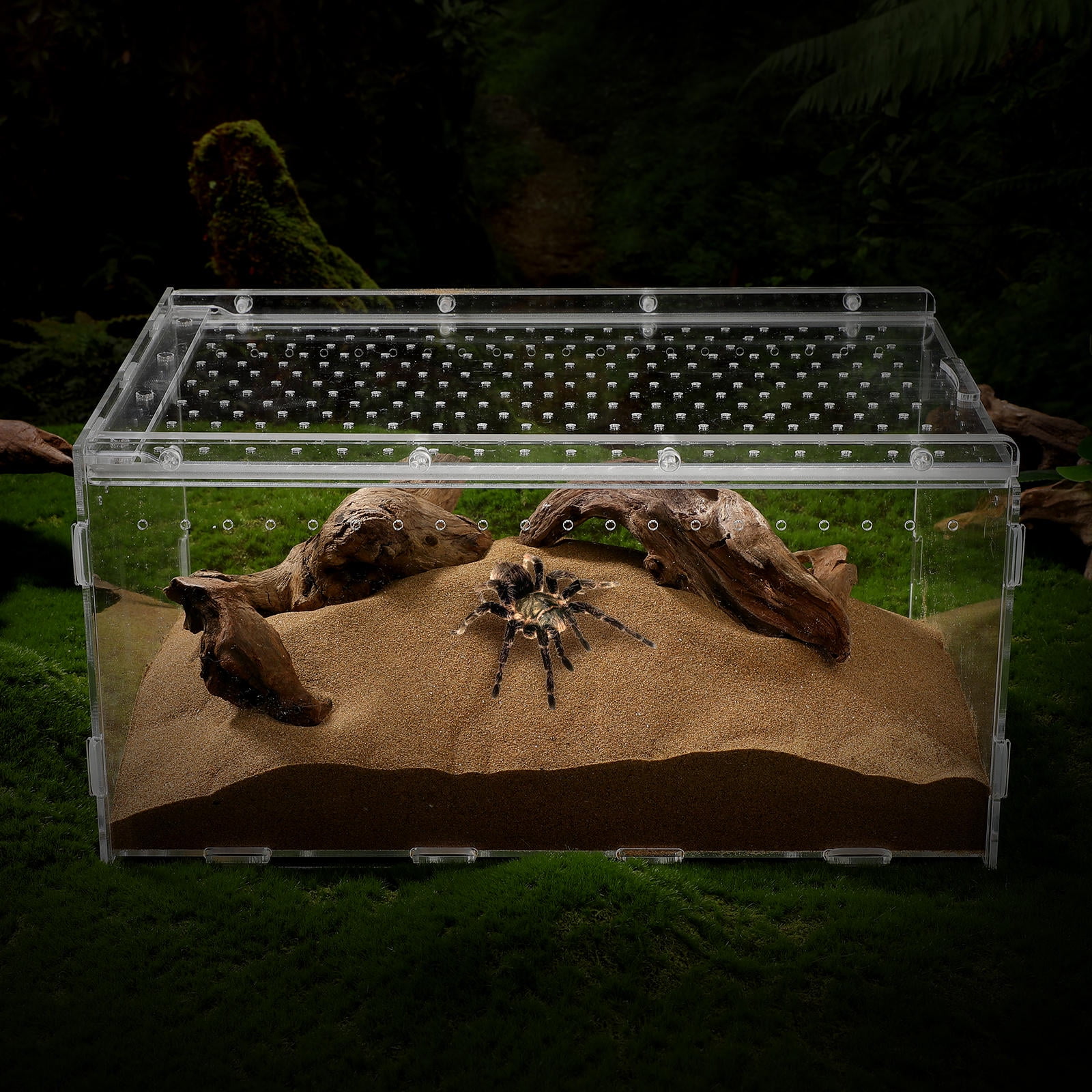 Raindrops 1Pack Breeding Box Reptile Cage Tank 30x20x15cm Safe Closure ...