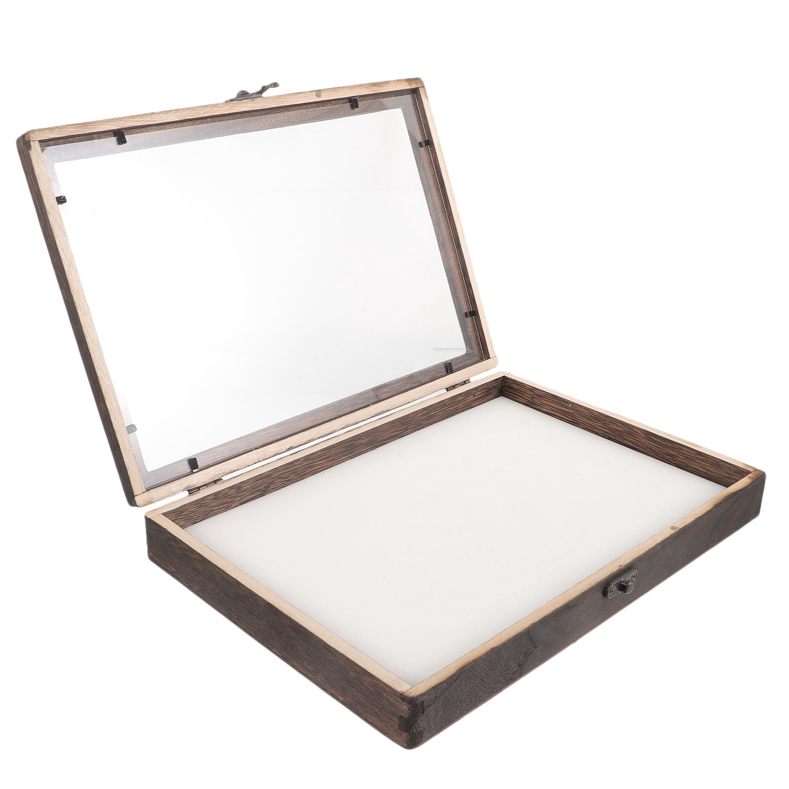 Raindrops Specimen Display Case Wall Mount Collection Box Shadow Box ...