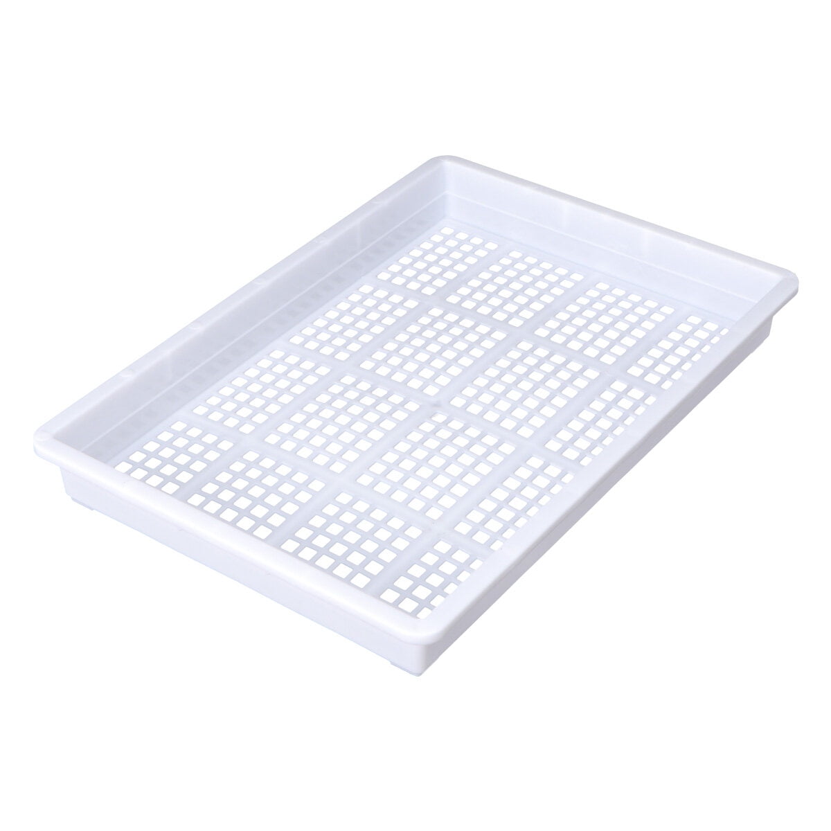 Raindrops Sprouting Trays with Drain Holes Seedling Hydroponic Nursery ...