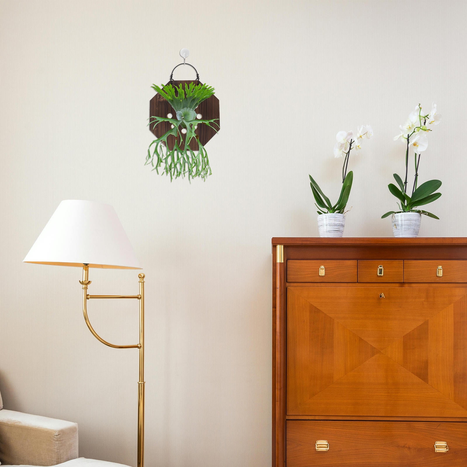 Raindrops Staghorn Fern Mounting Kit Orchid Hanging Planter Outdoor ...