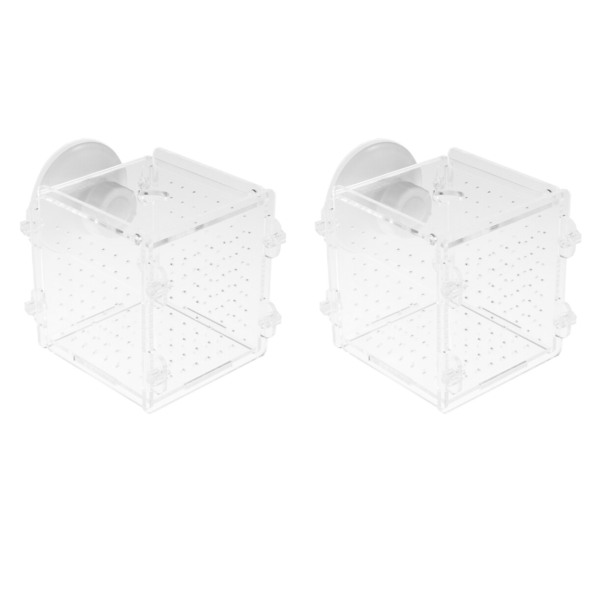 Raindrops Transparent Acrylic Fish Breeding Isolation Box for Fry ...