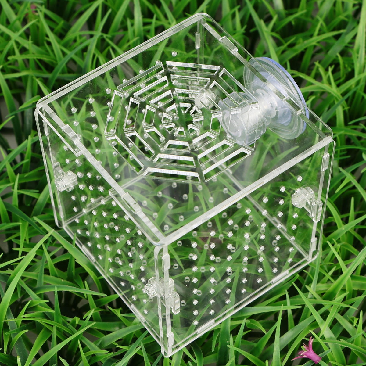 Raindrops Transparent Fish Fry Breeding Box Plastic Tank Aquarium for ...