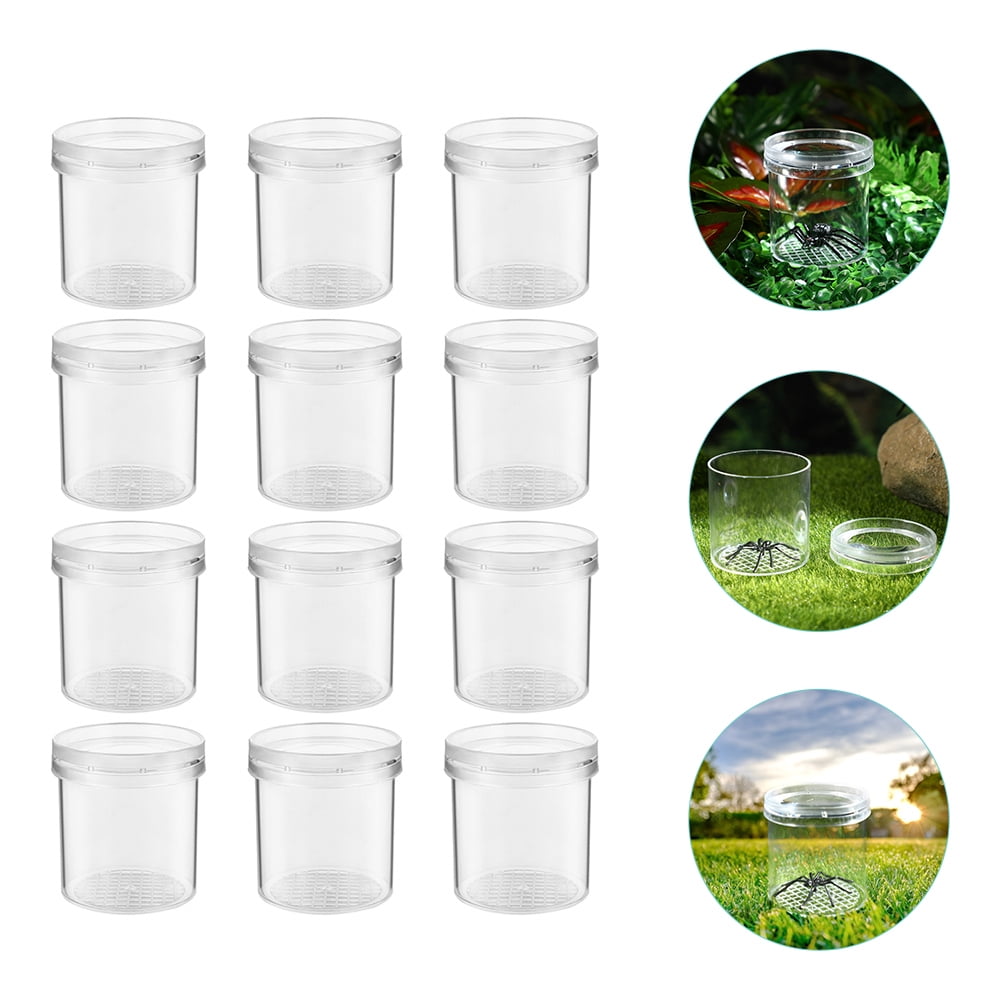 Raindrops Insect Observation Containers for Students 12Pcs 2.8X2.6in ...