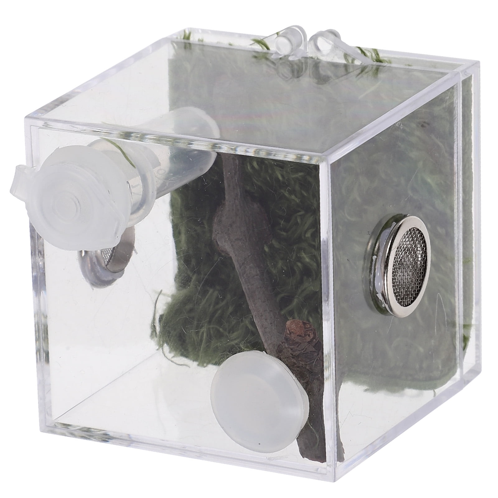 Raindrops Transparent Spider Enclosure Box Spider Habitat Box Acrylic ...