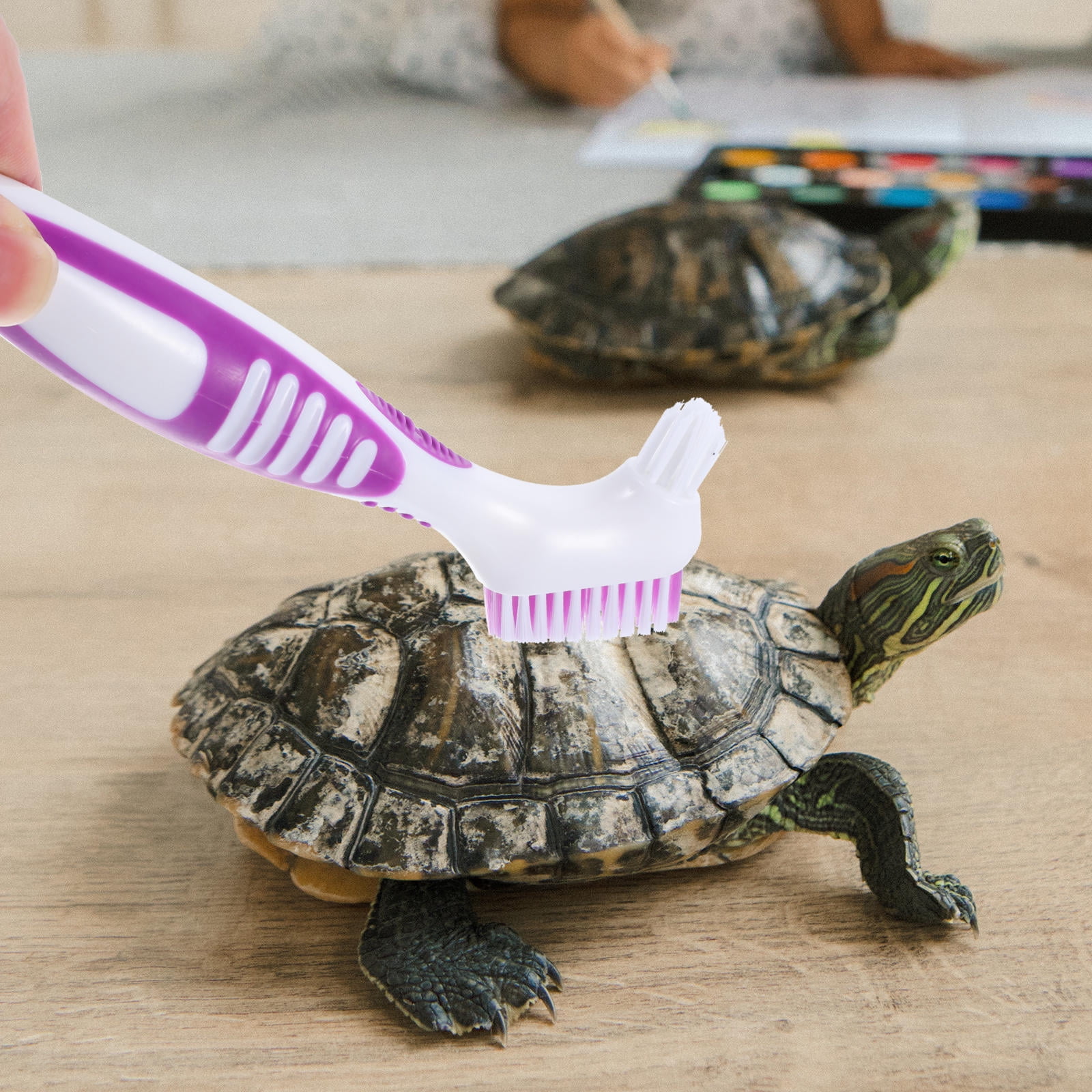 Raindrops Turtle Shell Cleaning Brush with Doublesided Design for ...