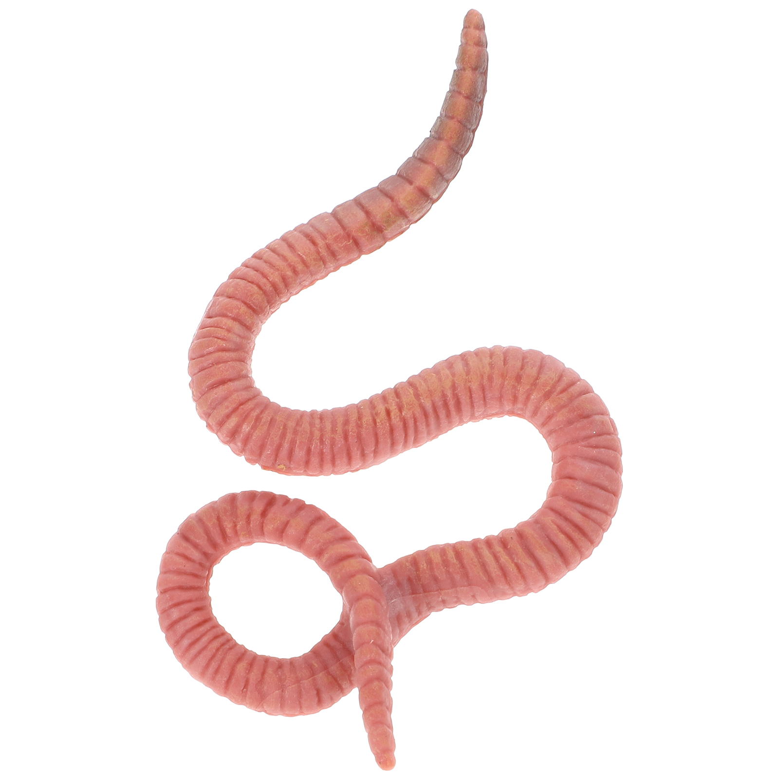 Raindrops Wacky Worm Toy Simulation Model Earthworm Animal Toys Child ...