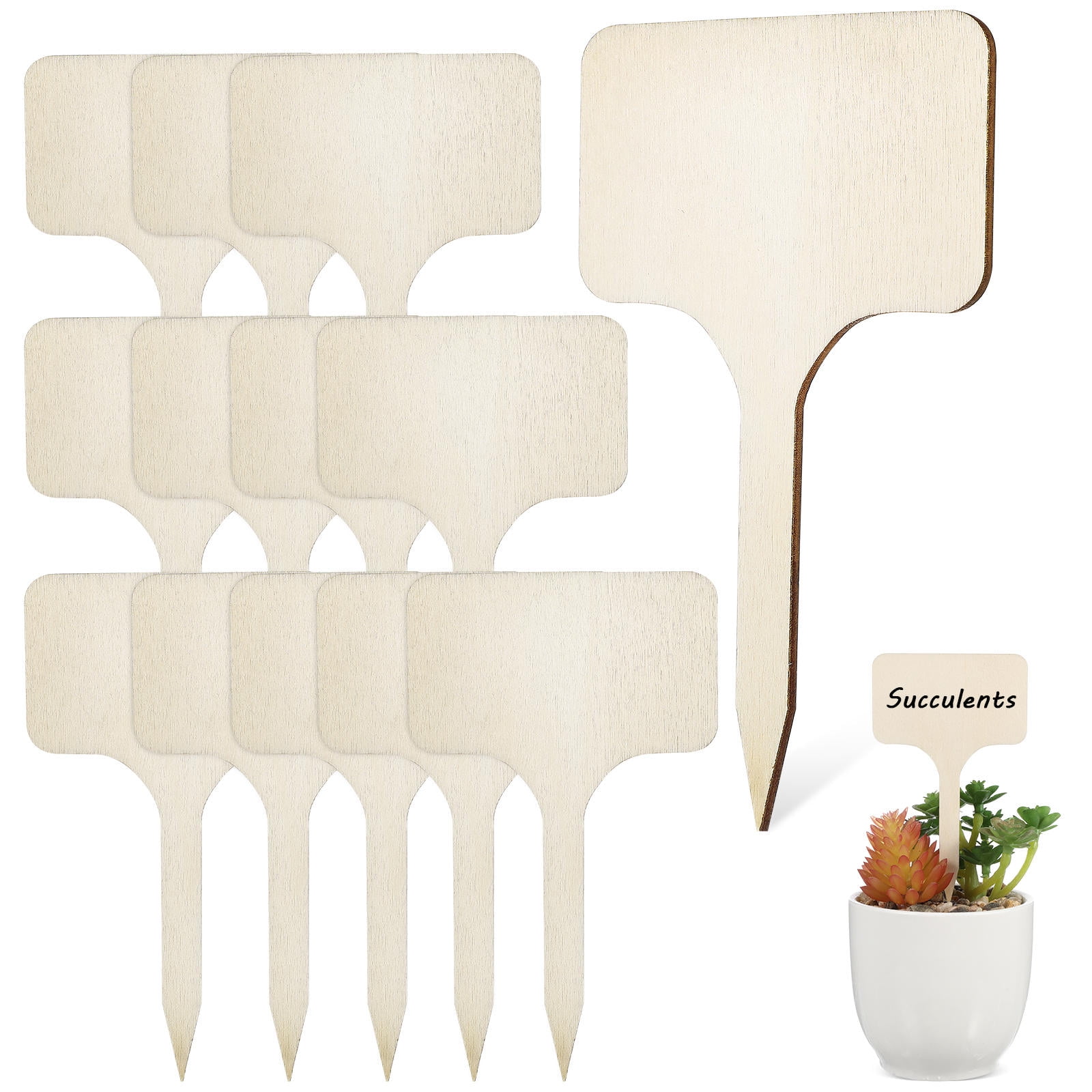 Raindrops Wooden Plant Labels for Marking Use with Smooth Surface and ...