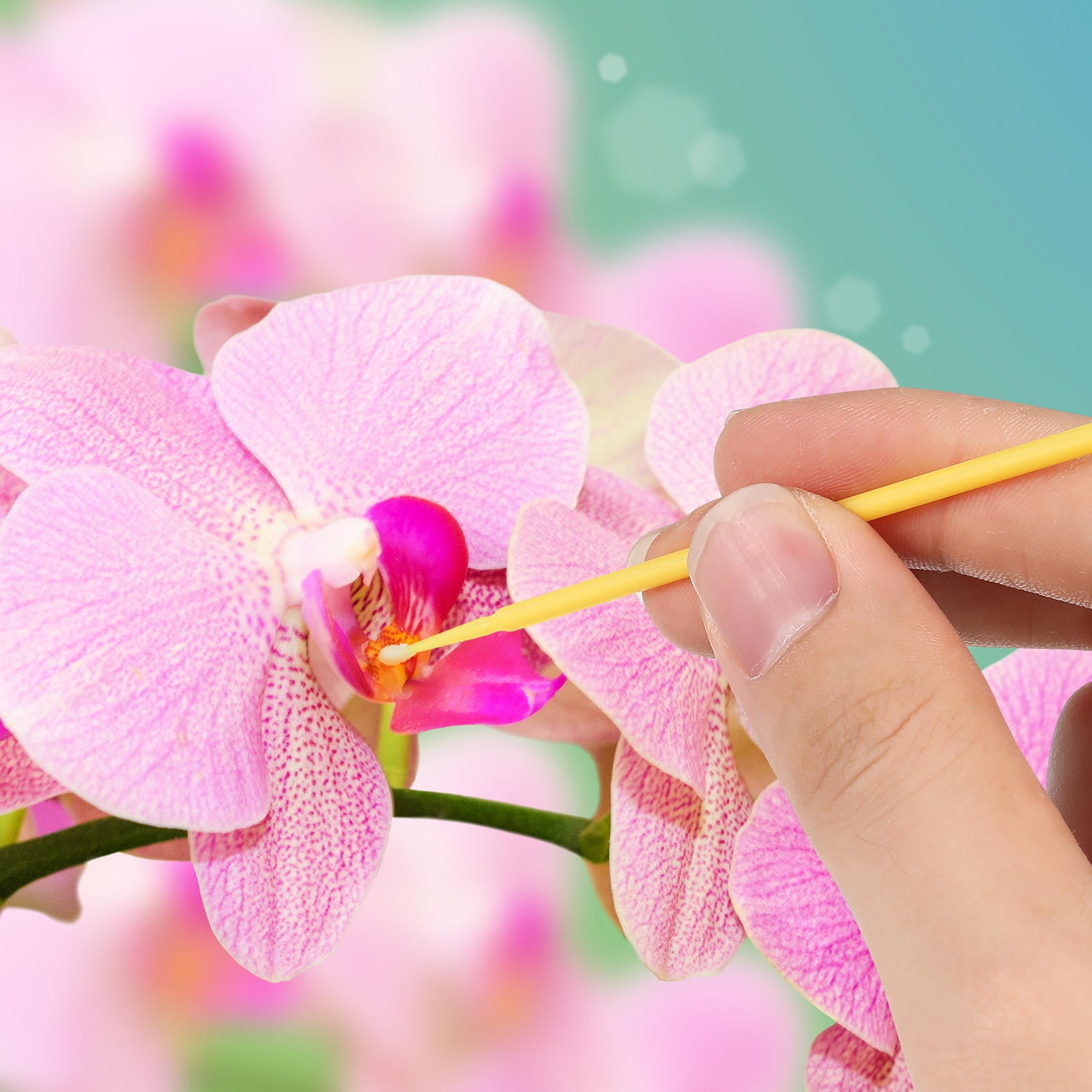 Raindrops Vegetable Pollinator Tool Plastic 100Pcs 3.7X0.1X0.1in ...