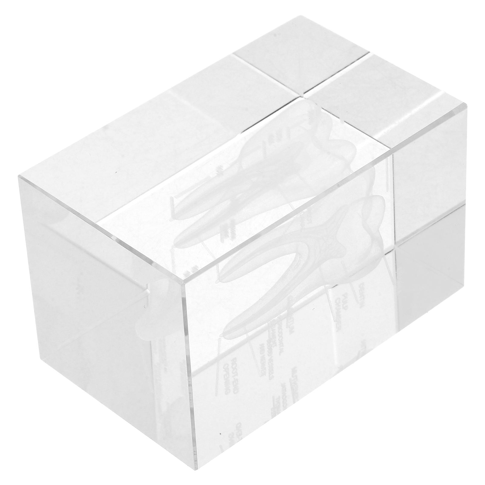 Raindrops Heart Anatomy Model in Transparent Crystal Cube - Educational ...