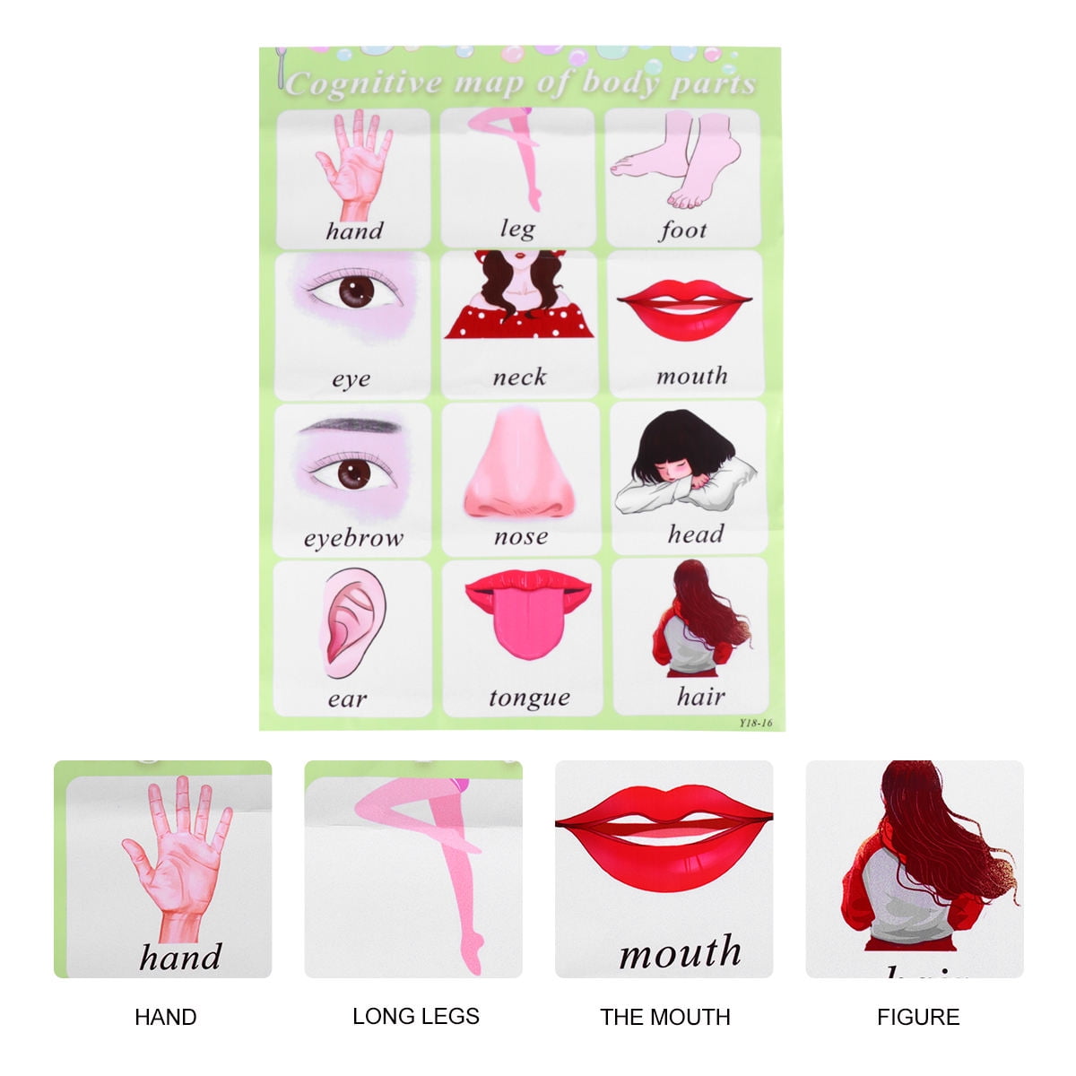 Raindrops Multi Color English Alphabet Wall Chart Teaching Poster for ...