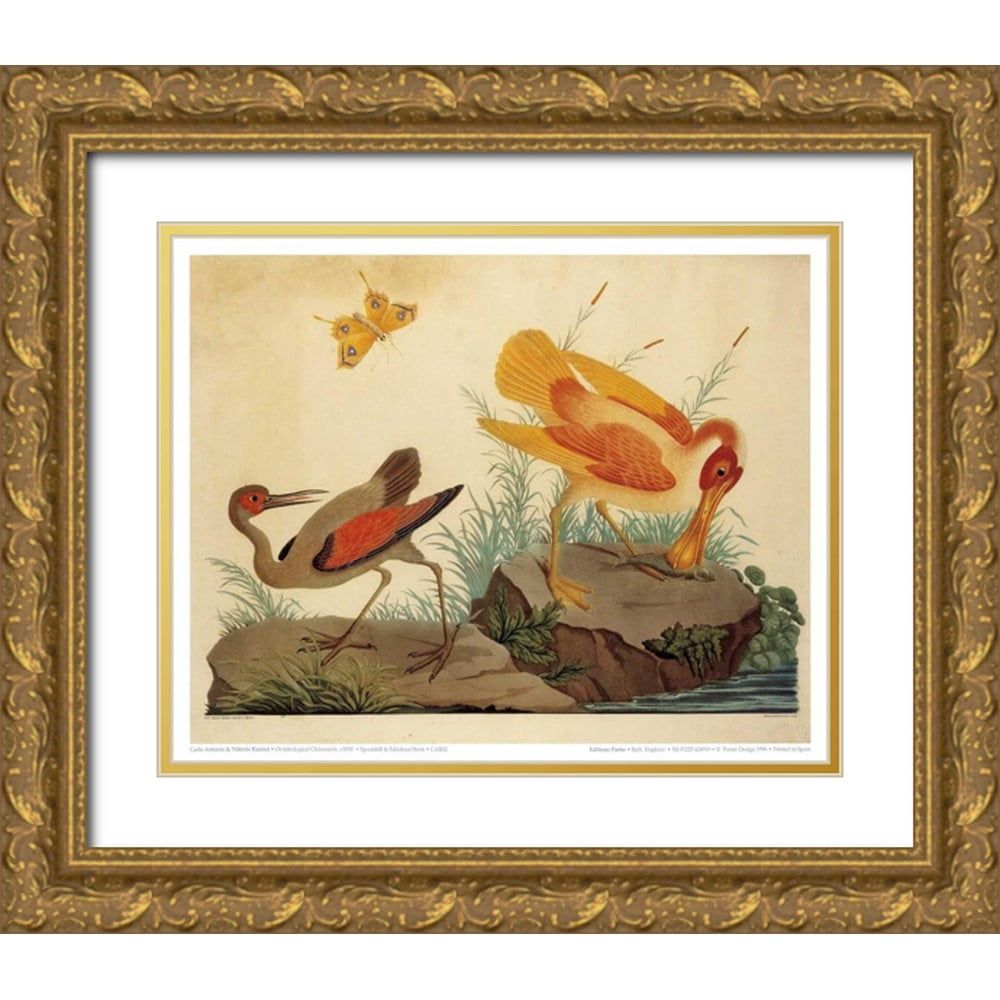 Raineri, Carlo, Vittorio 14x12 Gold Ornate Wood Framed with Double ...