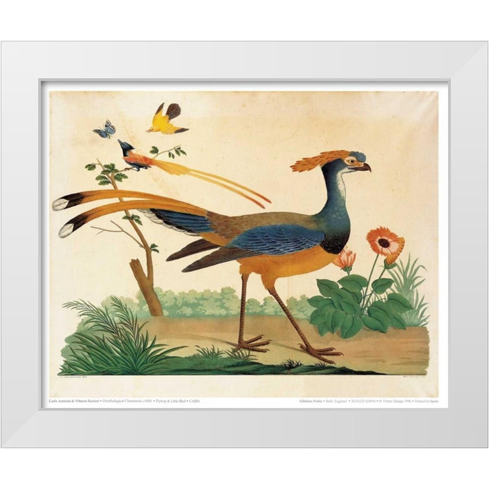 Raineri, Carlo, Vittorio 18x15 White Modern Wood Framed Museum Art ...