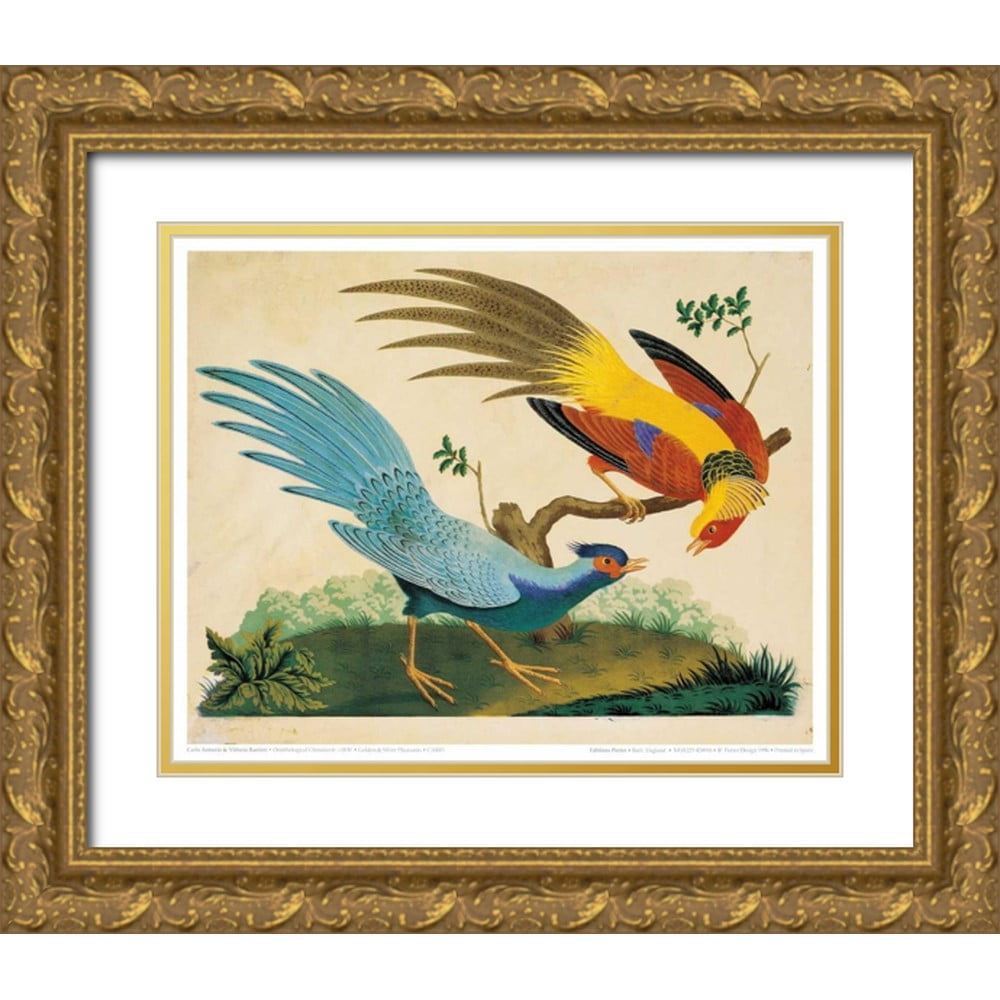 Raineri, Carlo, Vittorio 32x26 Gold Ornate Wood Framed with Double ...