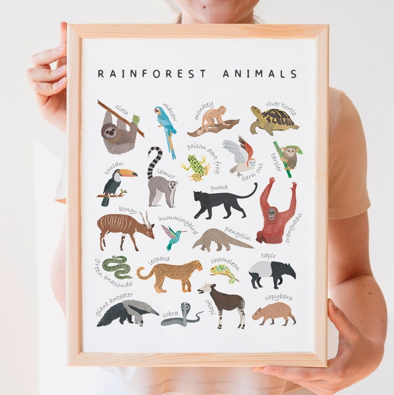 Rainforest Animals Poster, Educational Poster, Nursery Wall Decor ...