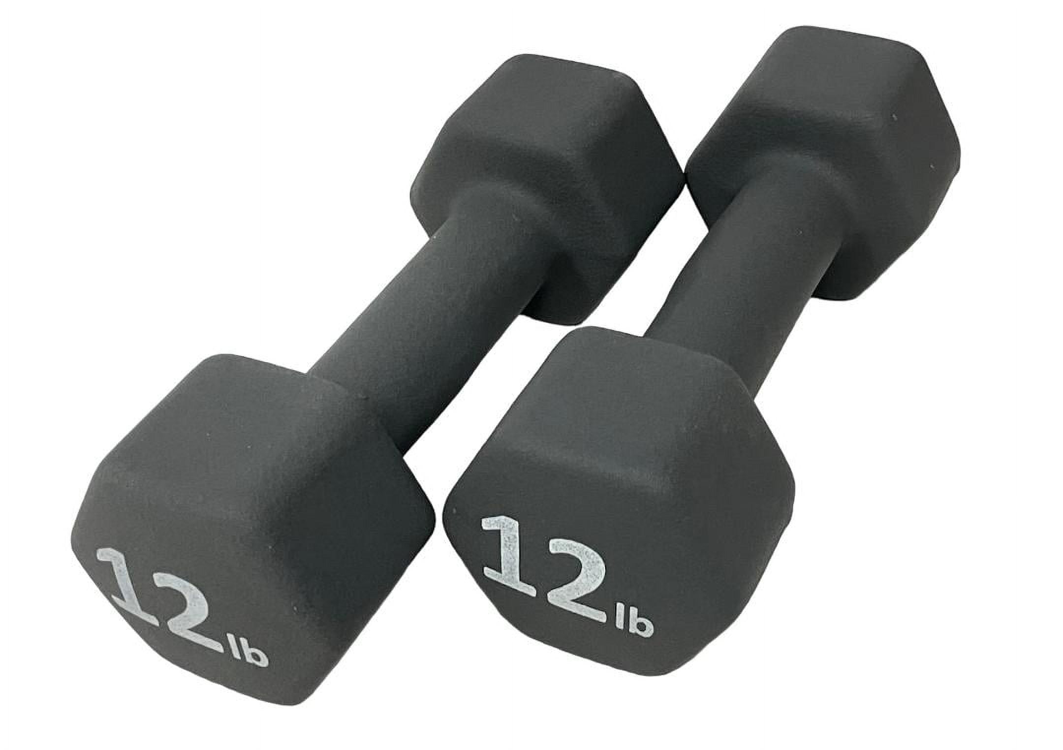 Rainforest Basics Neoprene 12 Lb. Hex Dumbbells, Non-Slip Grip Hand ...