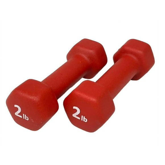 2lbs Weights
