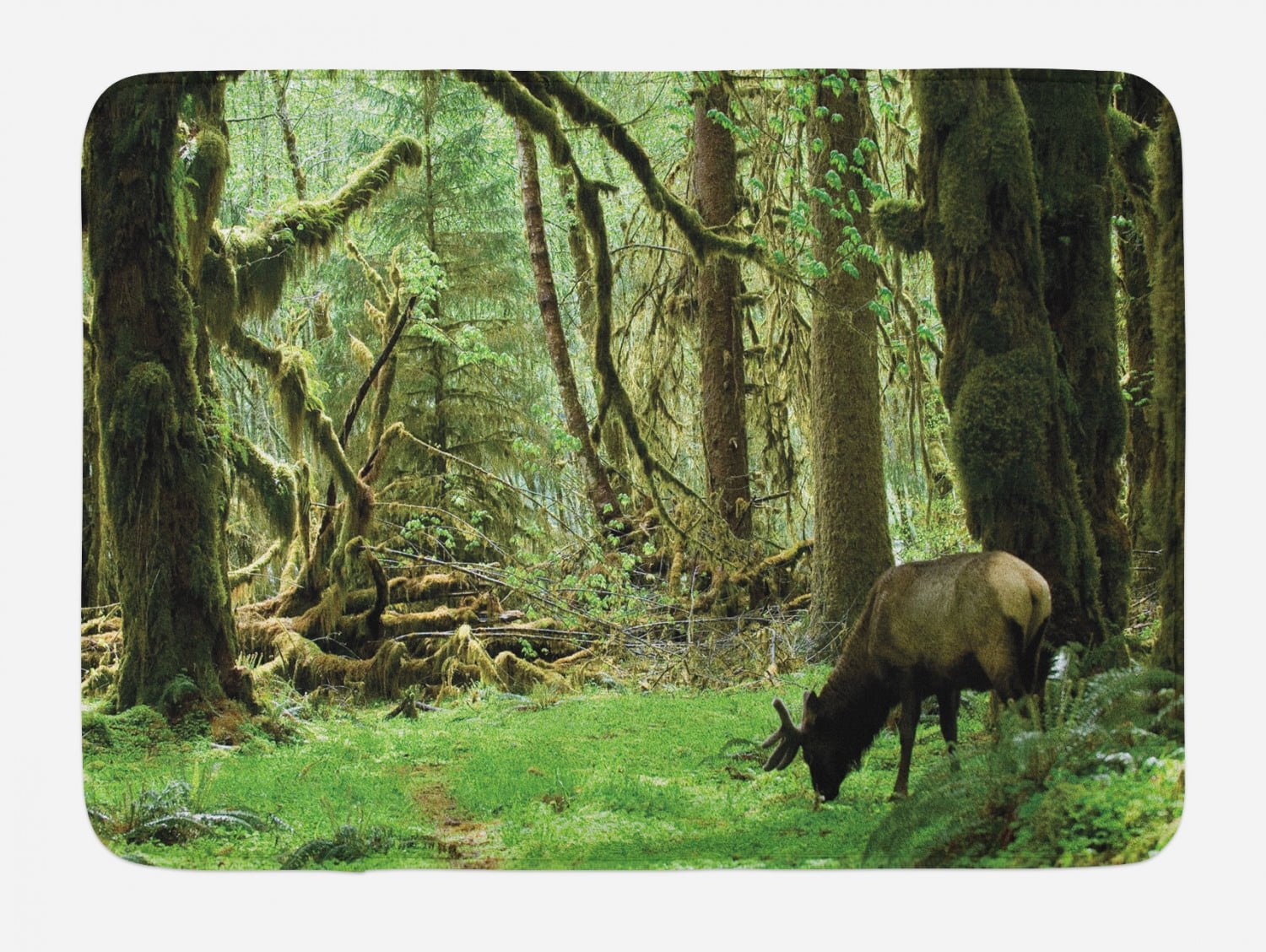 Rainforest Bath Mat, Roosevelt Elk in Rainforest Wildlife National Park ...