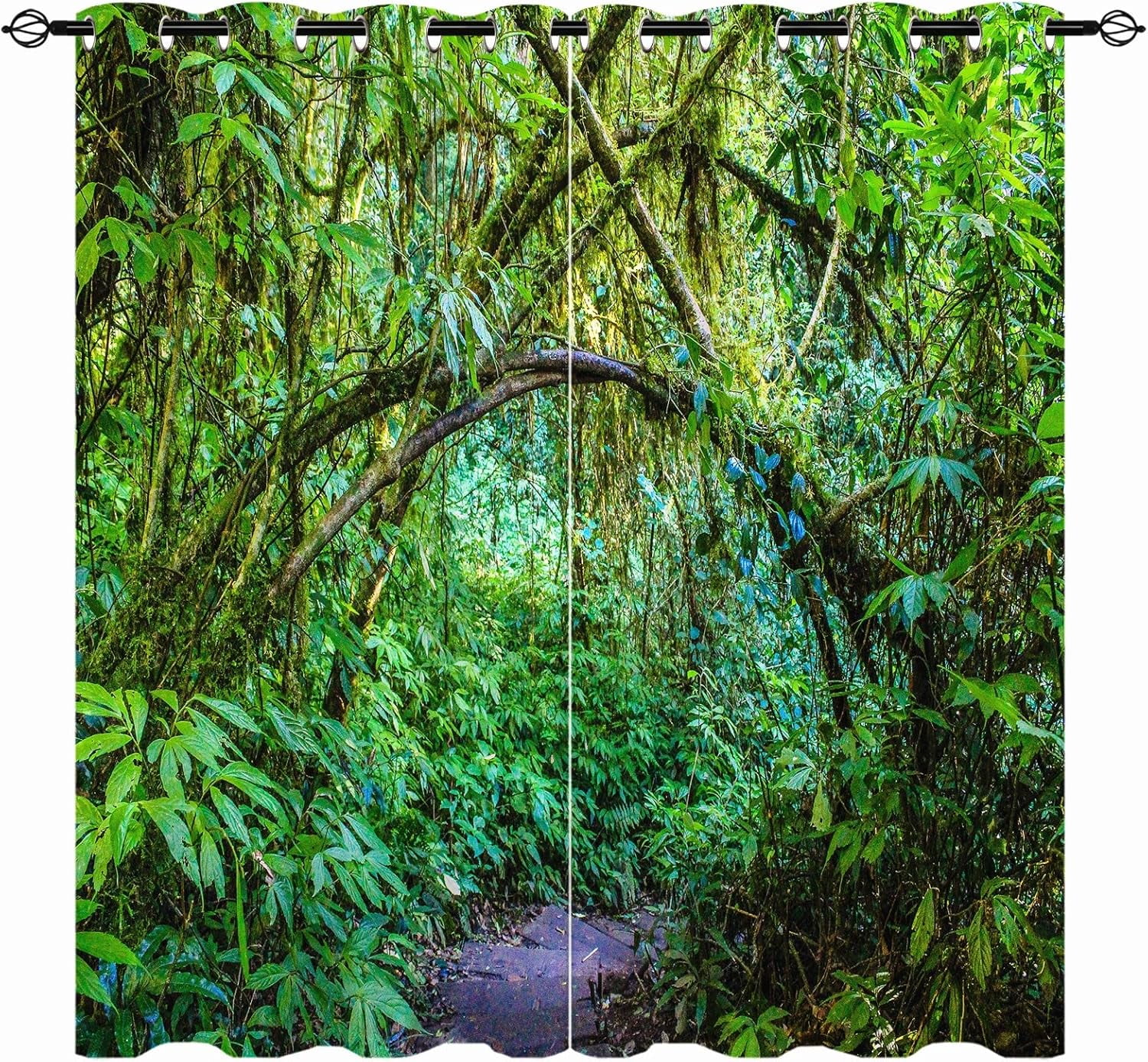 Rainforest Curtains, Jungle Tropical Wild Nature Theme Mysterious Plant ...